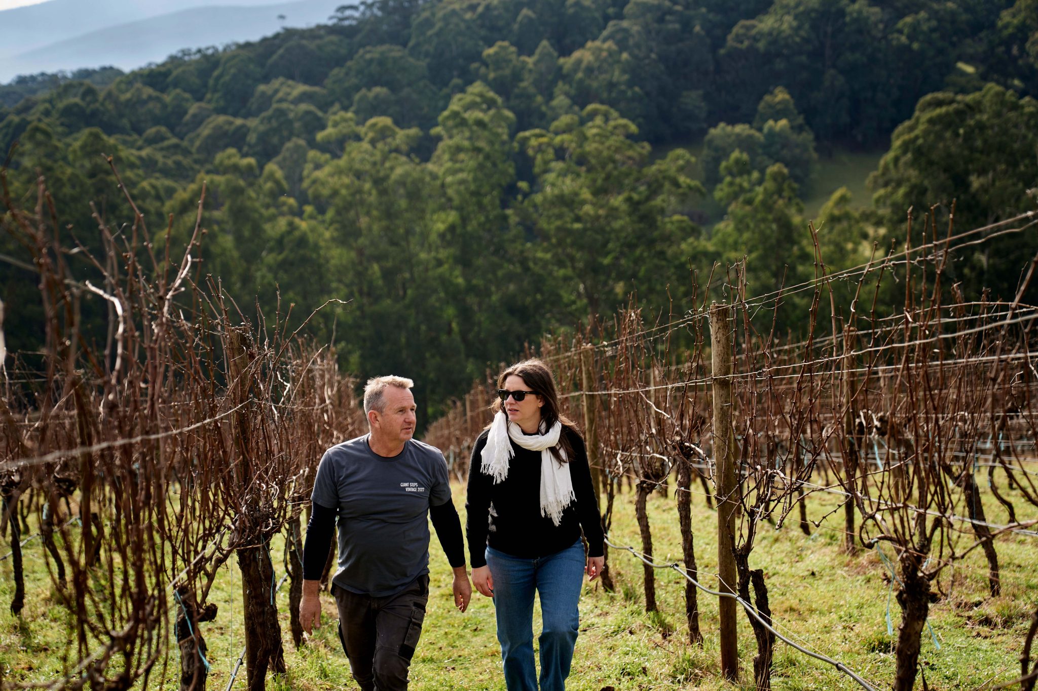 Giant Steps Wine – Yarra Valley